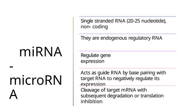 Biological Macromolecule - Nucleic Acids.pptx