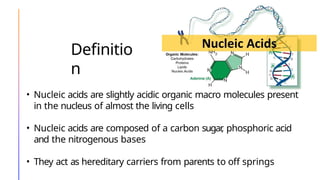 Biological Macromolecule - Nucleic Acids.pptx