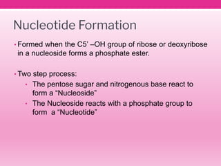 NUCLEIC ACIDS ( Types, Components, Structure) | PPT