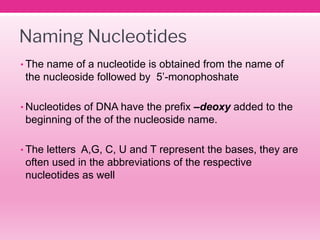 NUCLEIC ACIDS ( Types, Components, Structure) | PPT