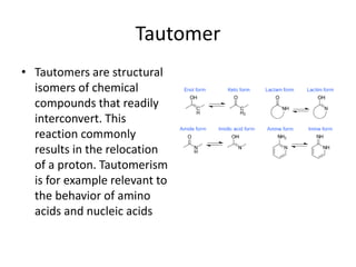 Nucleic acids | PPT