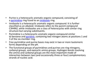Nucleic acids | PPT