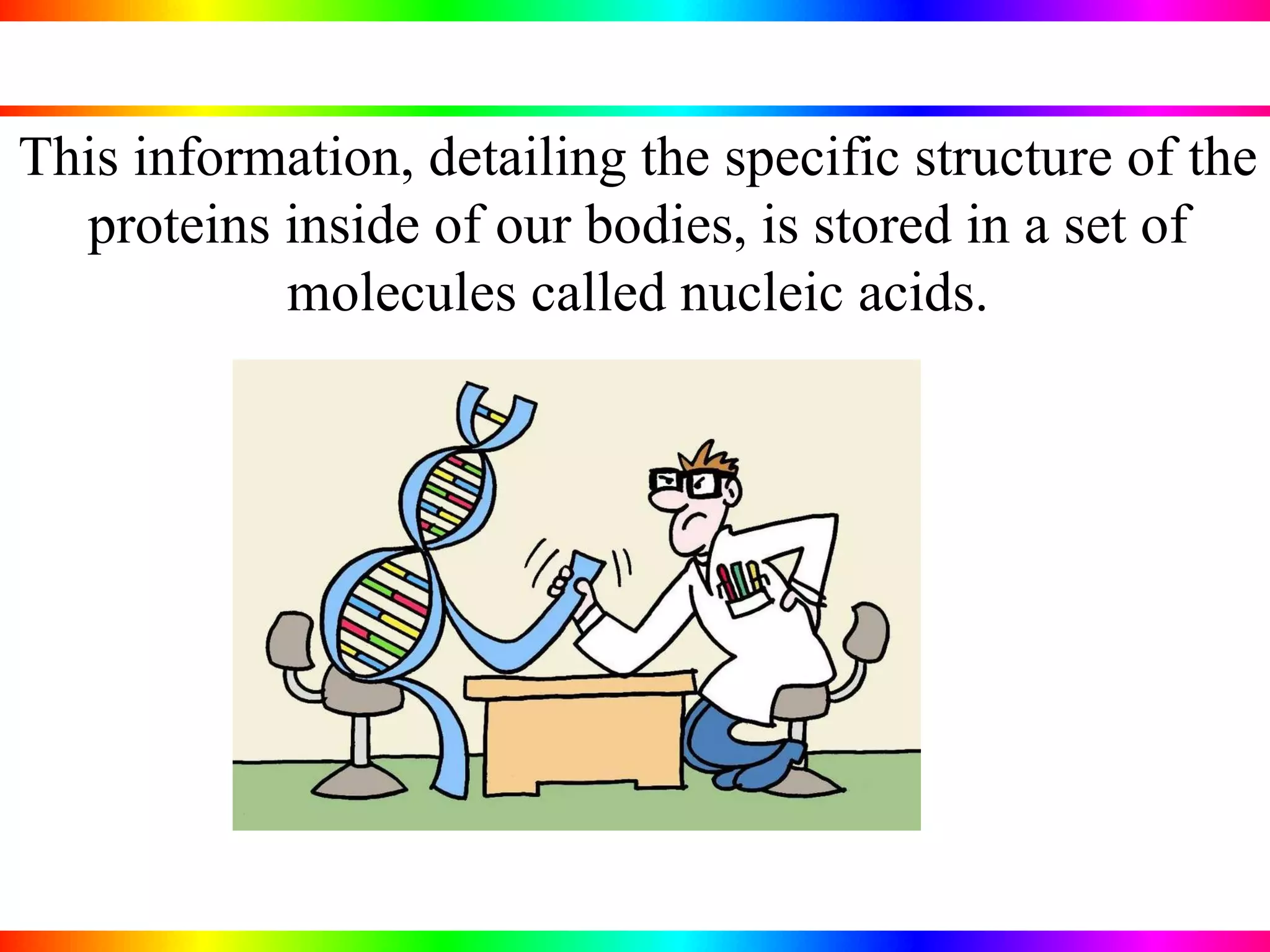 Nucleic acids | PPT | Chemistry | Science