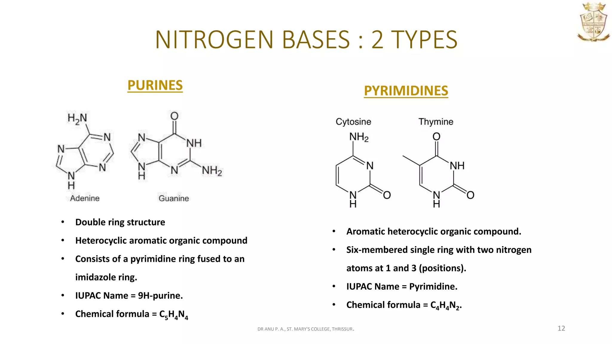 Nucleic acids structure & function | PPTX