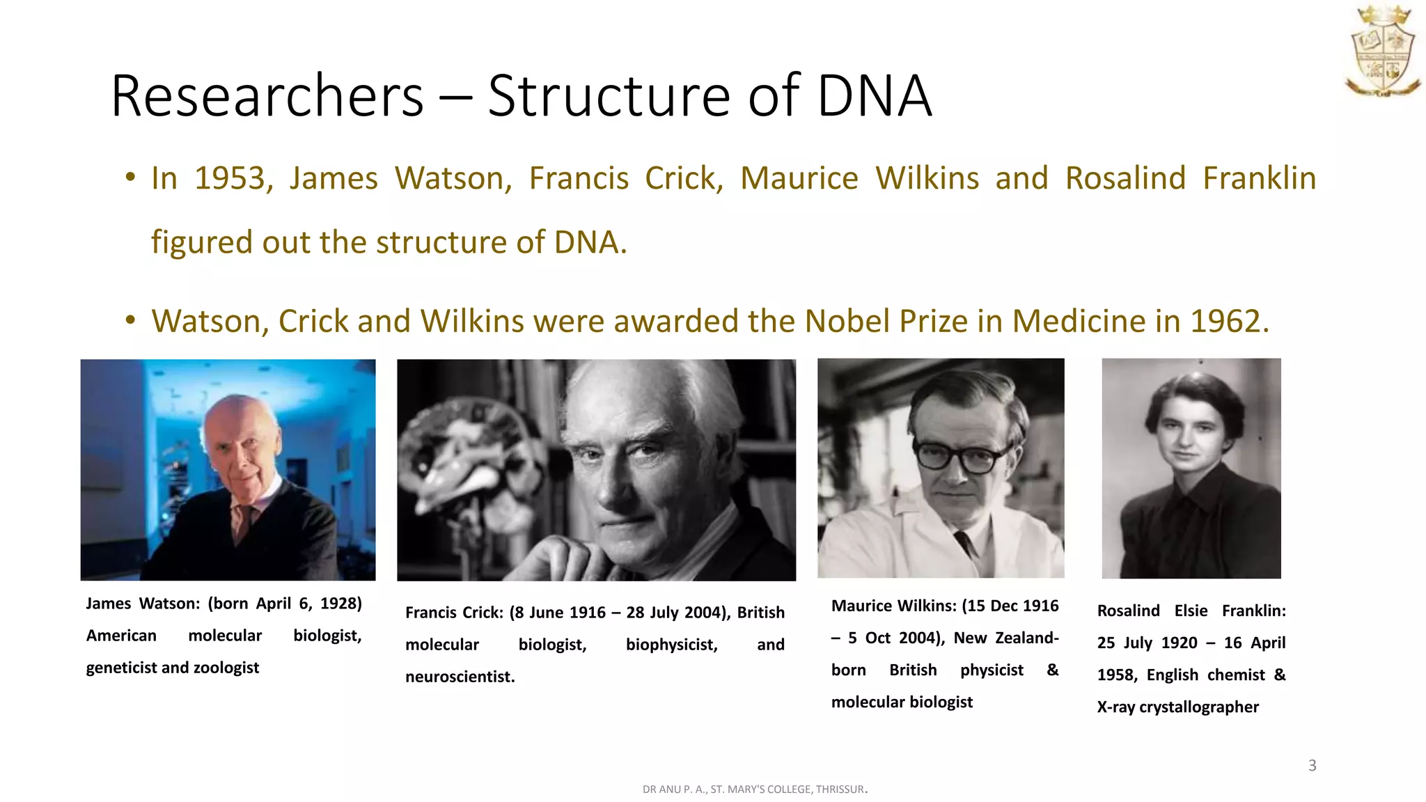 Nucleic acids structure & function | PPTX