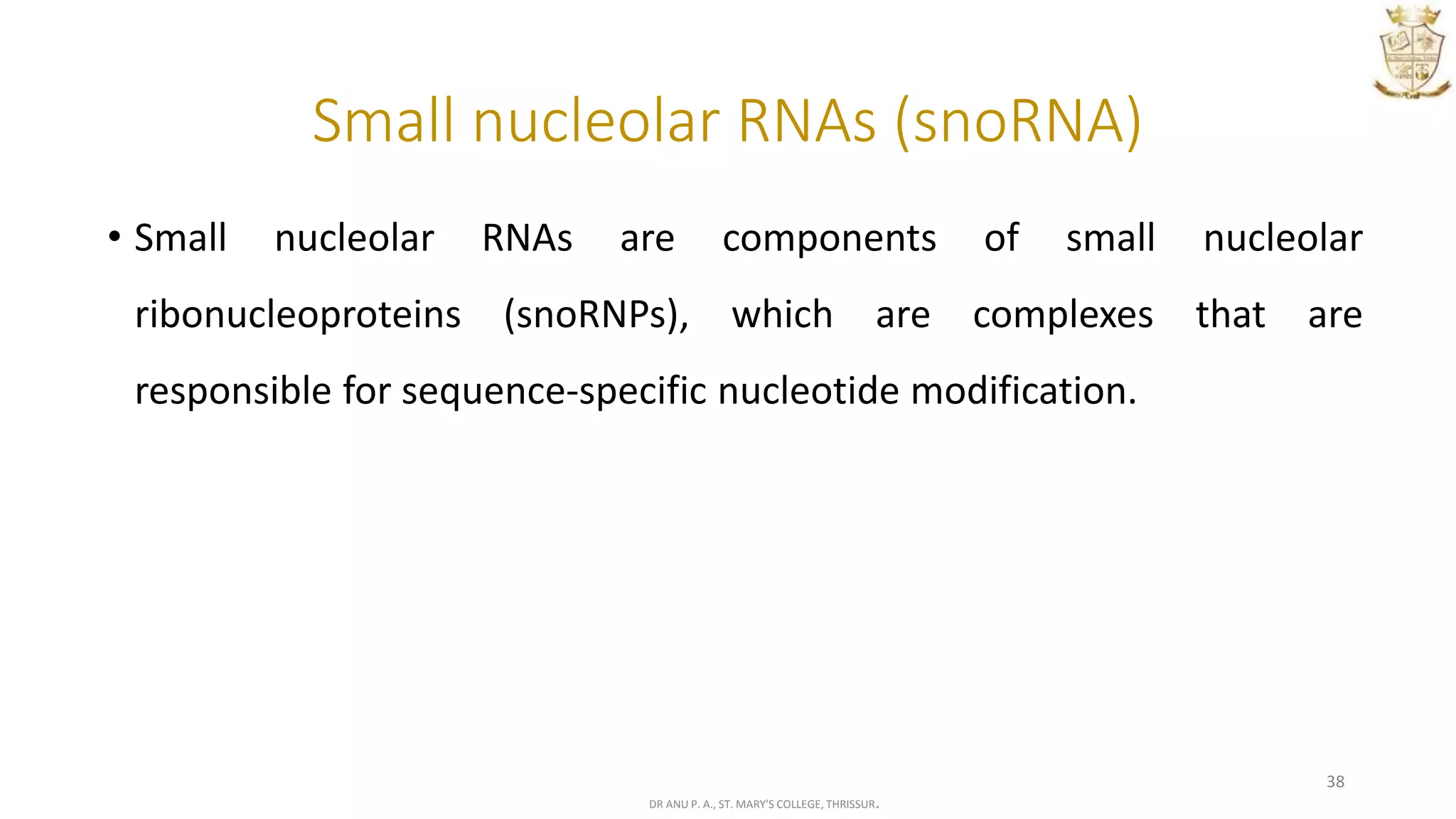 Nucleic acids structure & function | PPTX