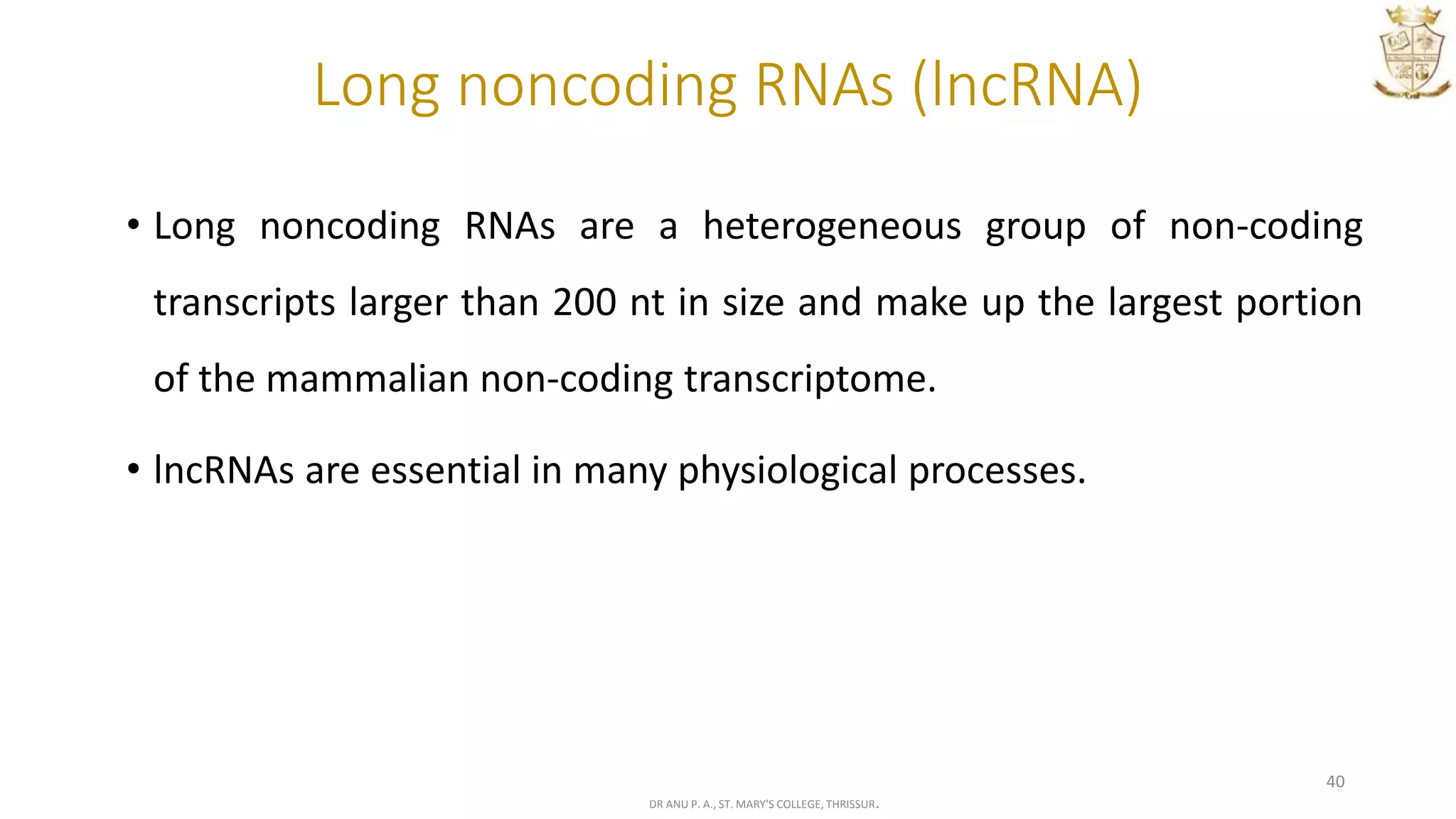 Nucleic acids structure & function | PPTX