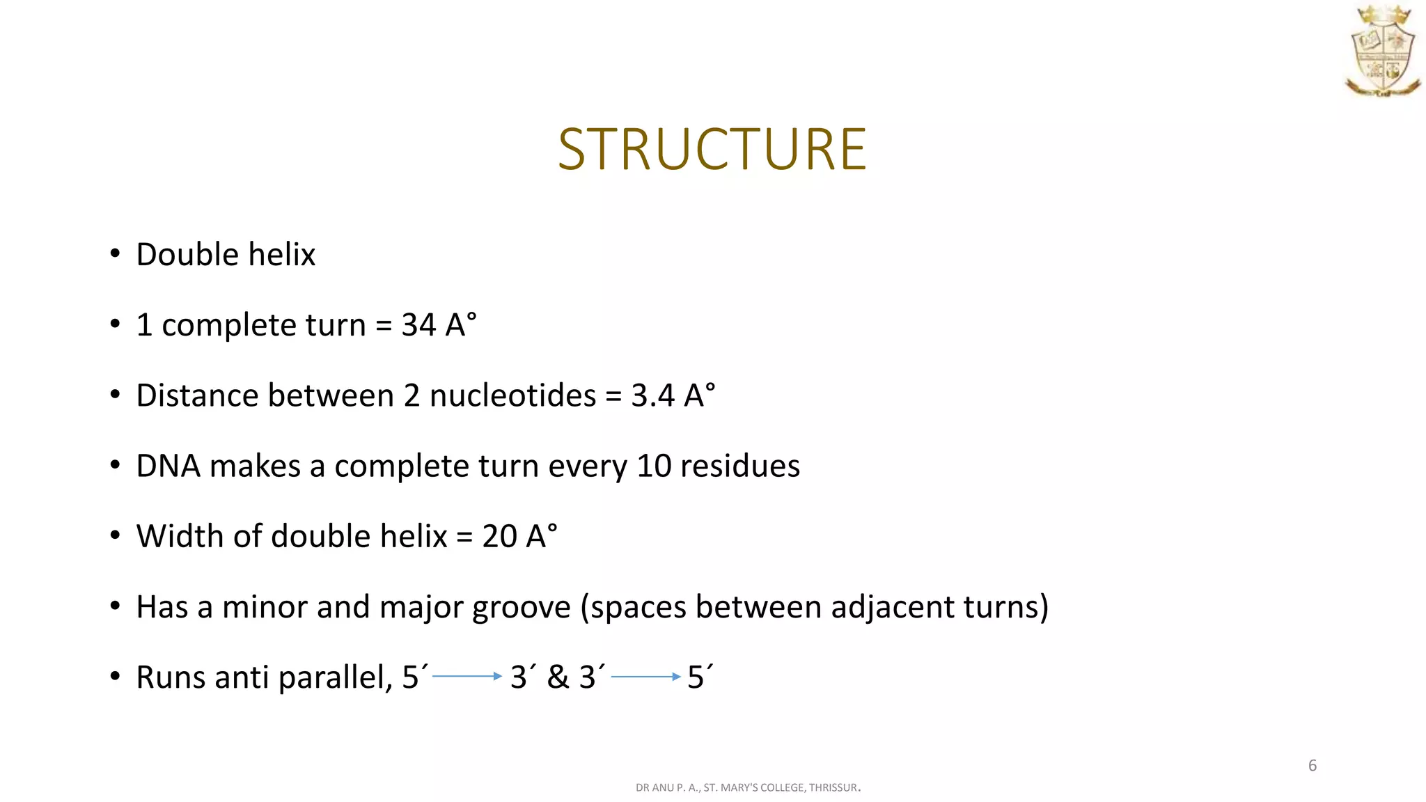 Nucleic Acids Structure Function Pptx