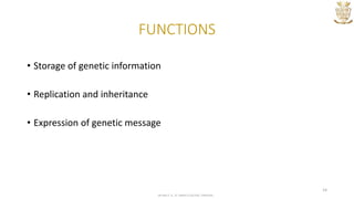 Nucleic acids structure & function | PPTX