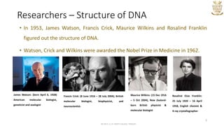 Nucleic acids structure & function | PPTX