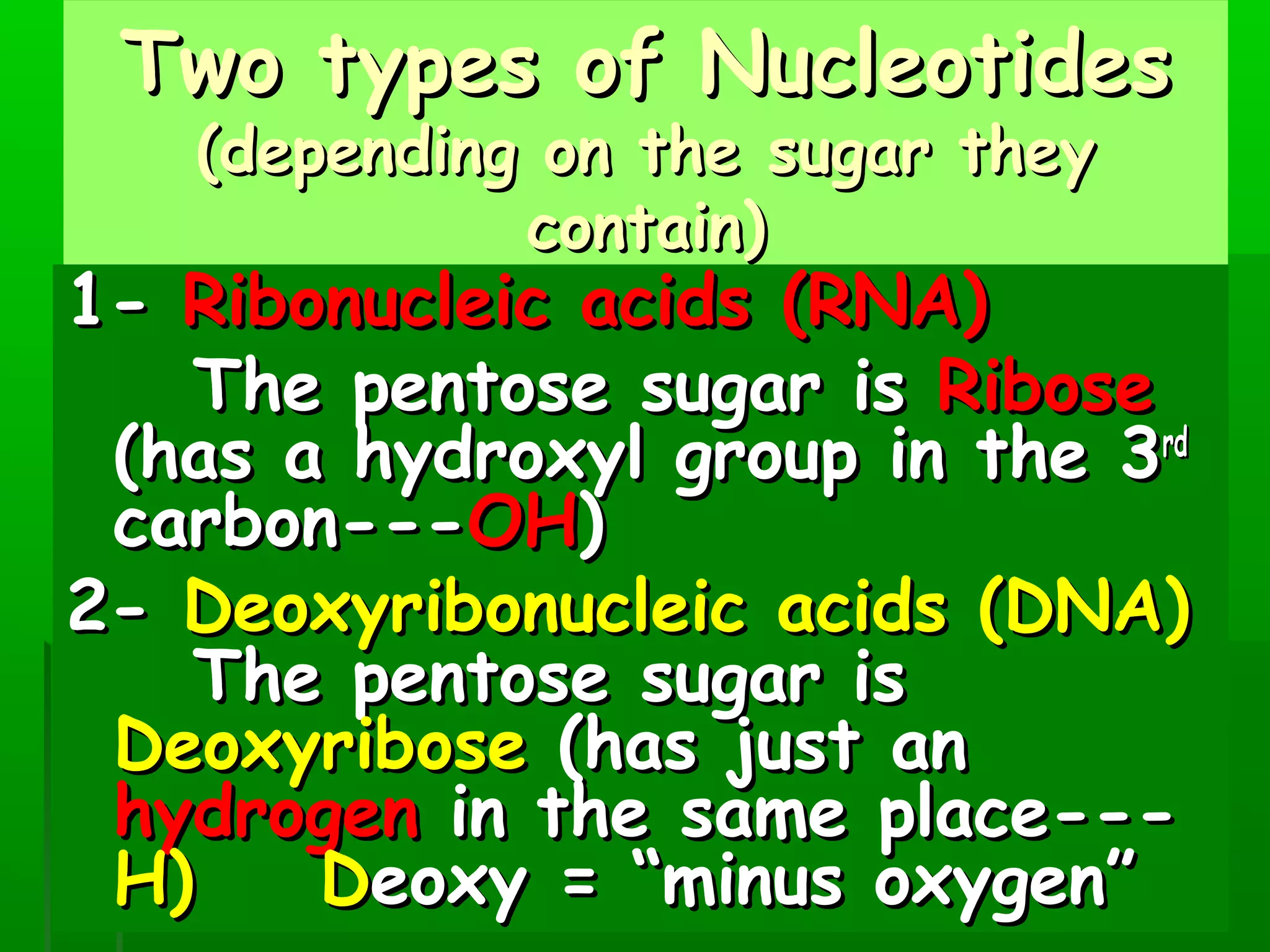 Nucleic acids | PPT | Genetics | Science