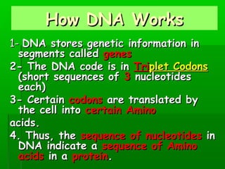 Nucleic acids | PPT | Genetics | Science