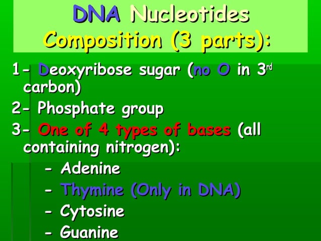 Nucleic acids | PPT | Genetics | Science