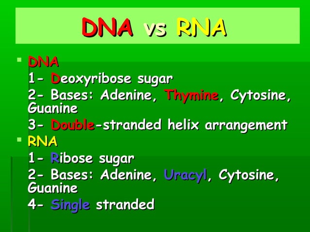 Nucleic acids | PPT | Genetics | Science