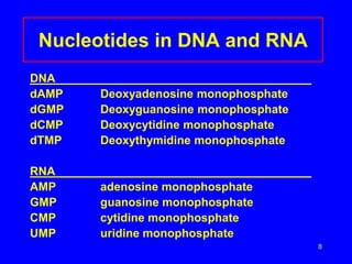Nucleic Acids_2.ppt