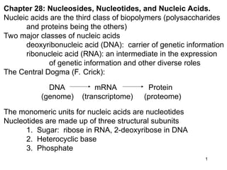 Comprehensive Overview of Nucleosides, Nucleotides, and Nucleic Acids ...