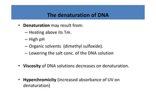 Nucleic Acids Structure and Functions | PDF