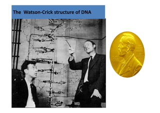 Nucleic Acids Structure and Functions | PDF