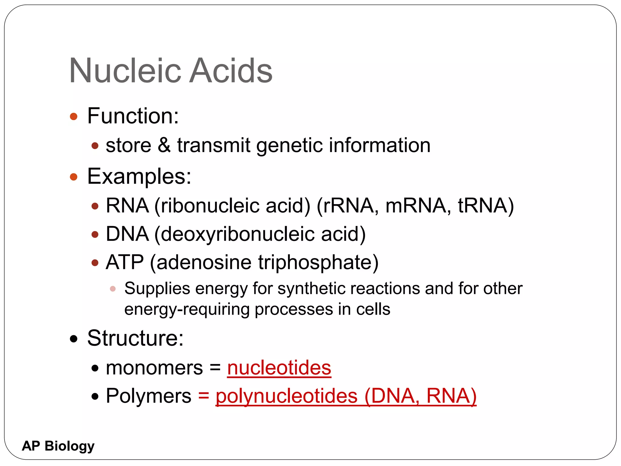 nucleic acids 2012.ppt