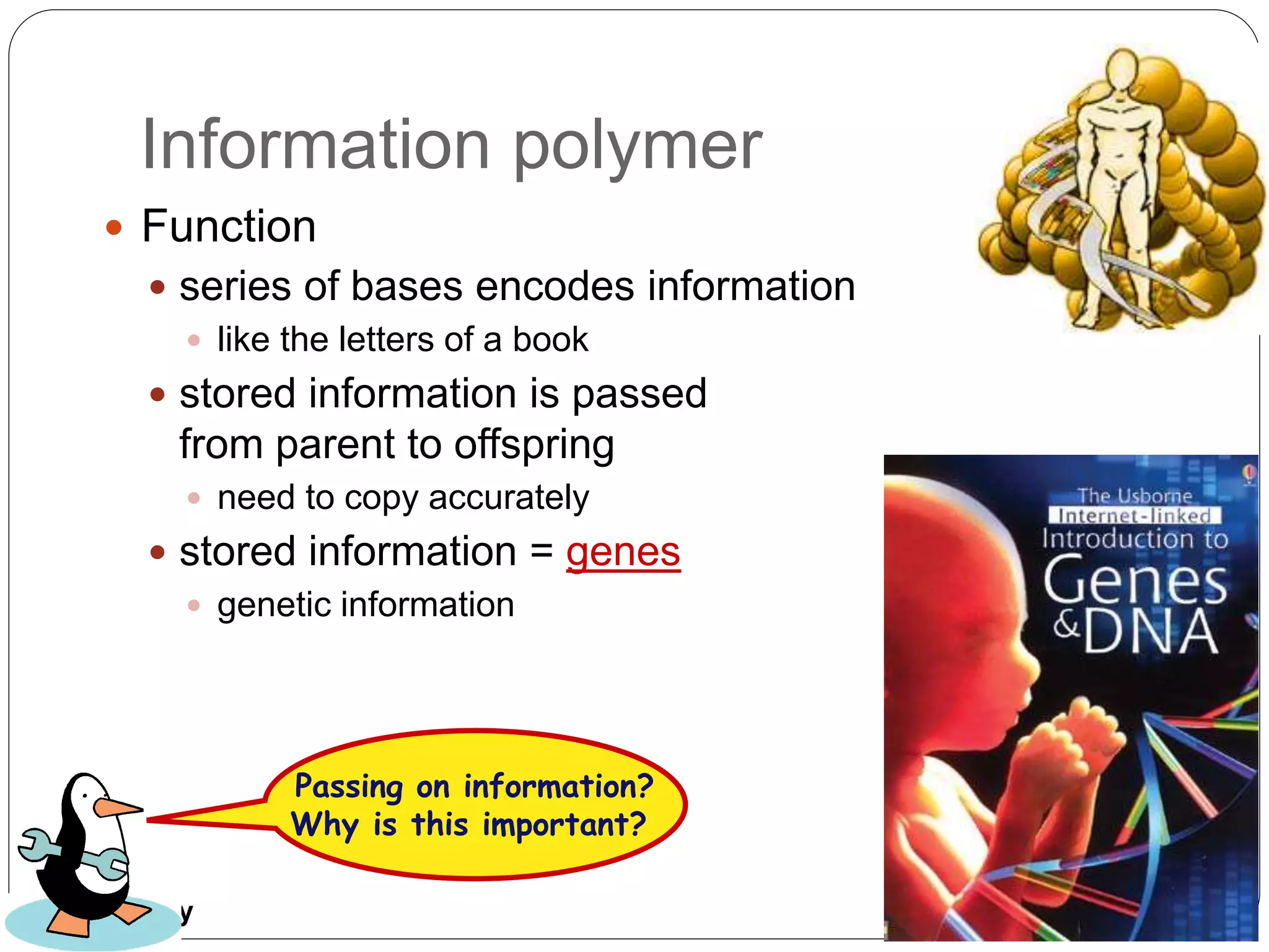 nucleic acids 2012.ppt