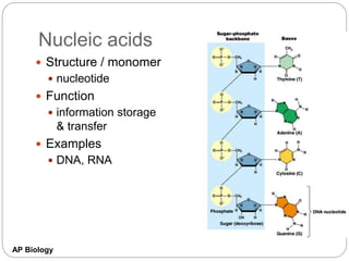 nucleic acids 2012.ppt