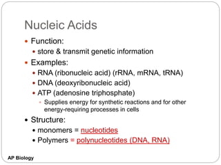 nucleic acids 2012.ppt