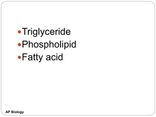 nucleic acids 2012.ppt