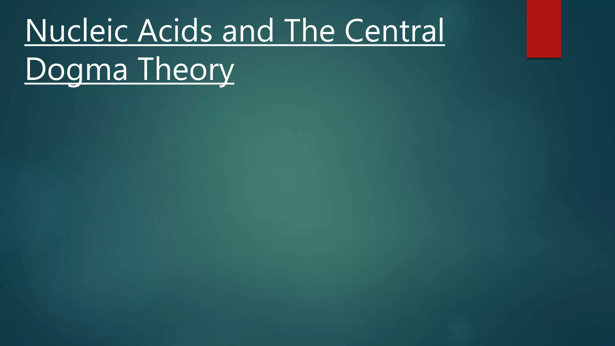 Nucleic acids and central dogma theory | PPTX