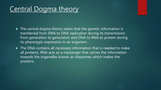 Nucleic acids and central dogma theory | PPTX
