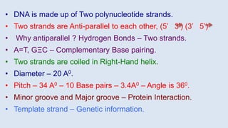 Nucleic acids and chromosomes | PPT