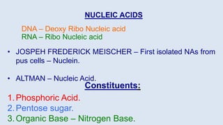 Nucleic acids and chromosomes | PPT