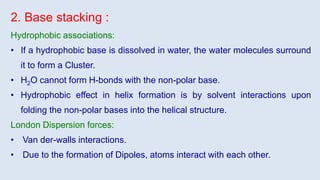 Nucleic acids and chromosomes | PPT