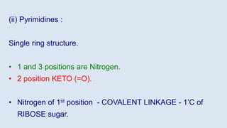 Nucleic acids and chromosomes | PPT