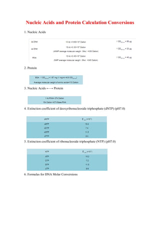 Nucleic Acids and Protein Calculation Conversions.pdf