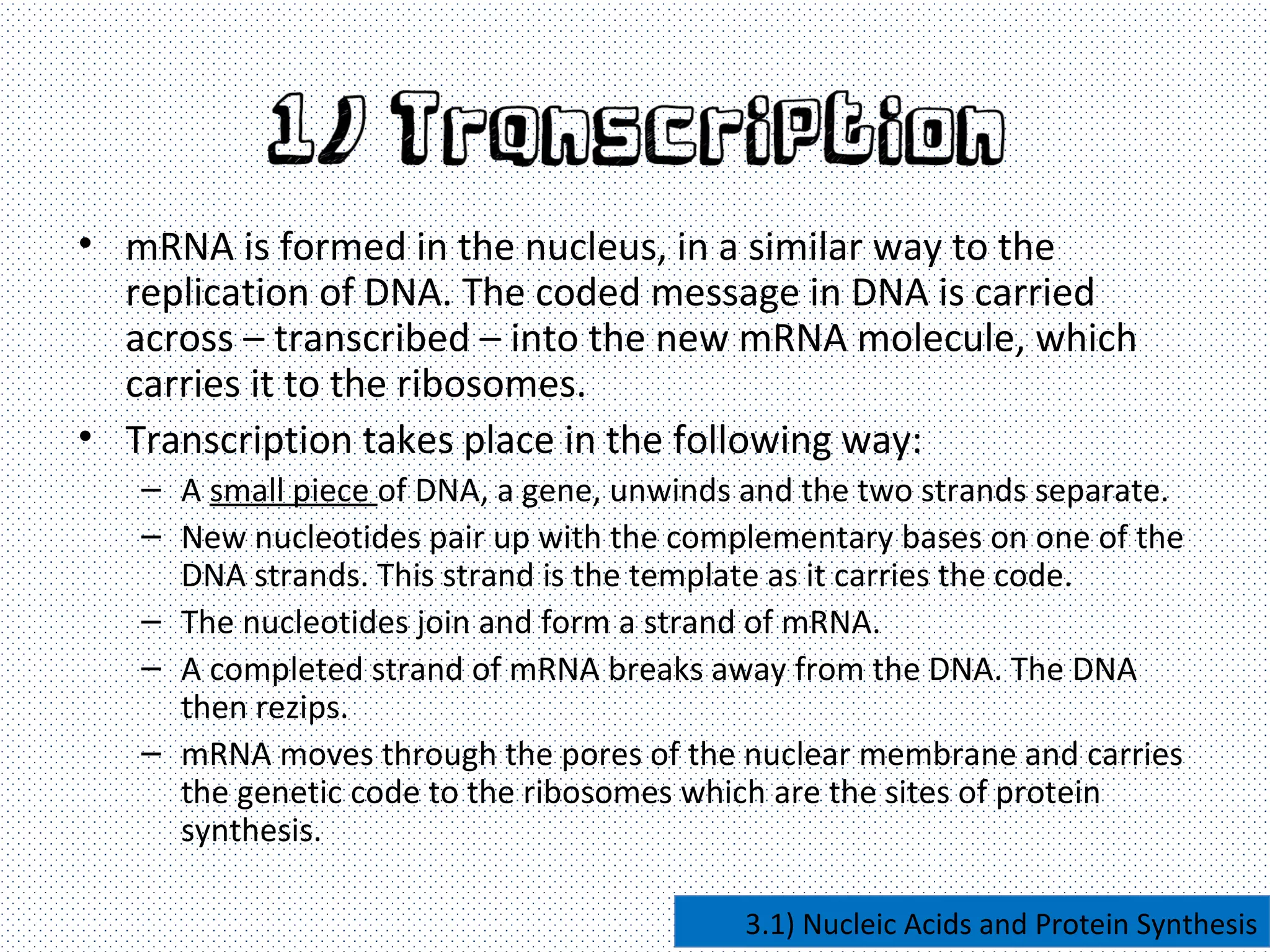 Nucleic acids and protein synthesis | PPT