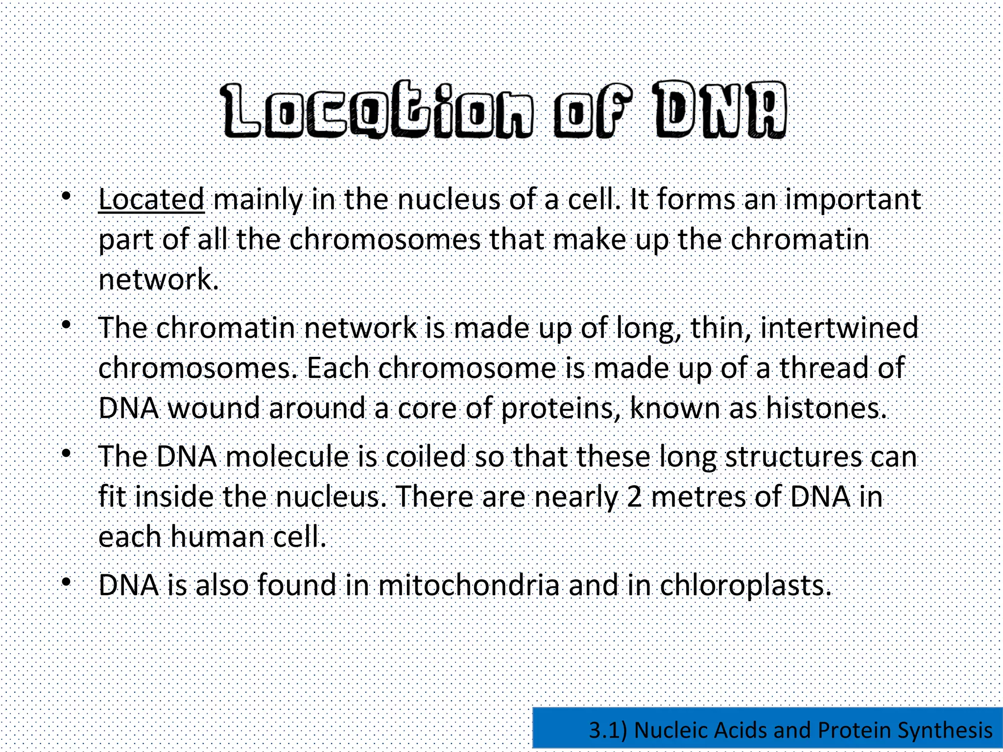 Nucleic acids and protein synthesis | PPT