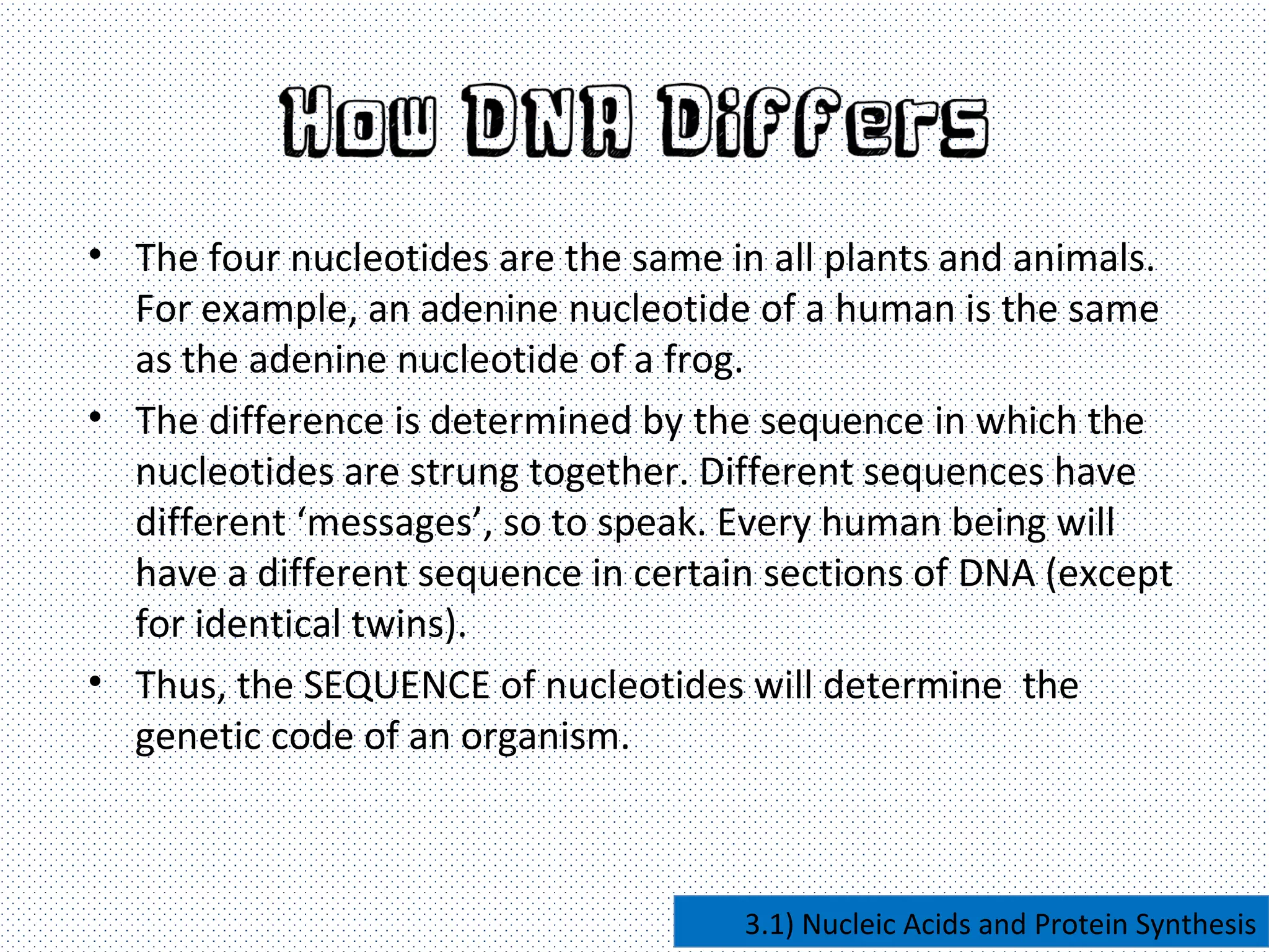 Nucleic acids and protein synthesis | PPT
