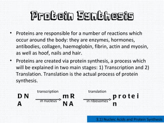 Nucleic acids and protein synthesis | PPT