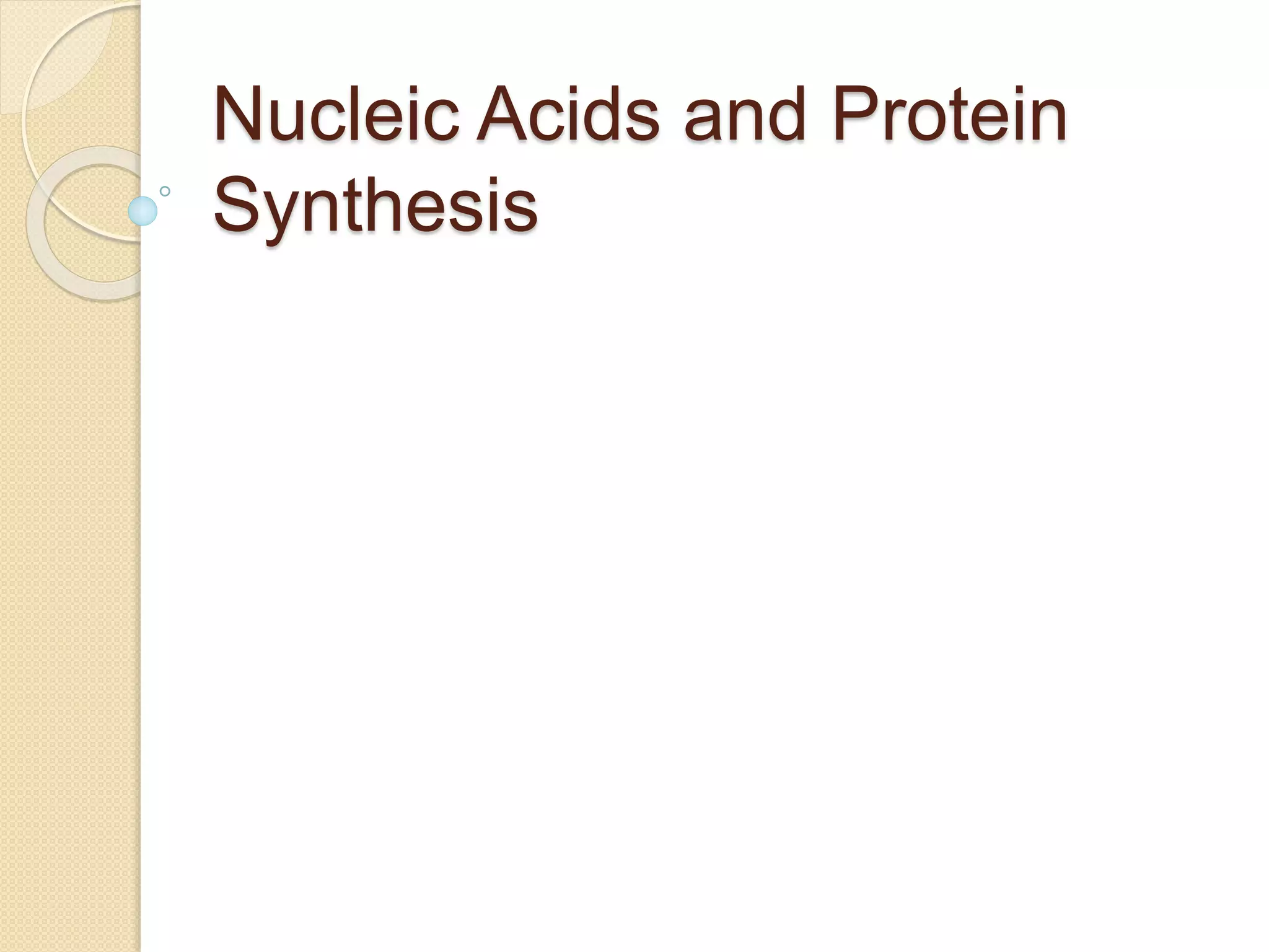 Nucleic acids and protein synthesis | PPTX