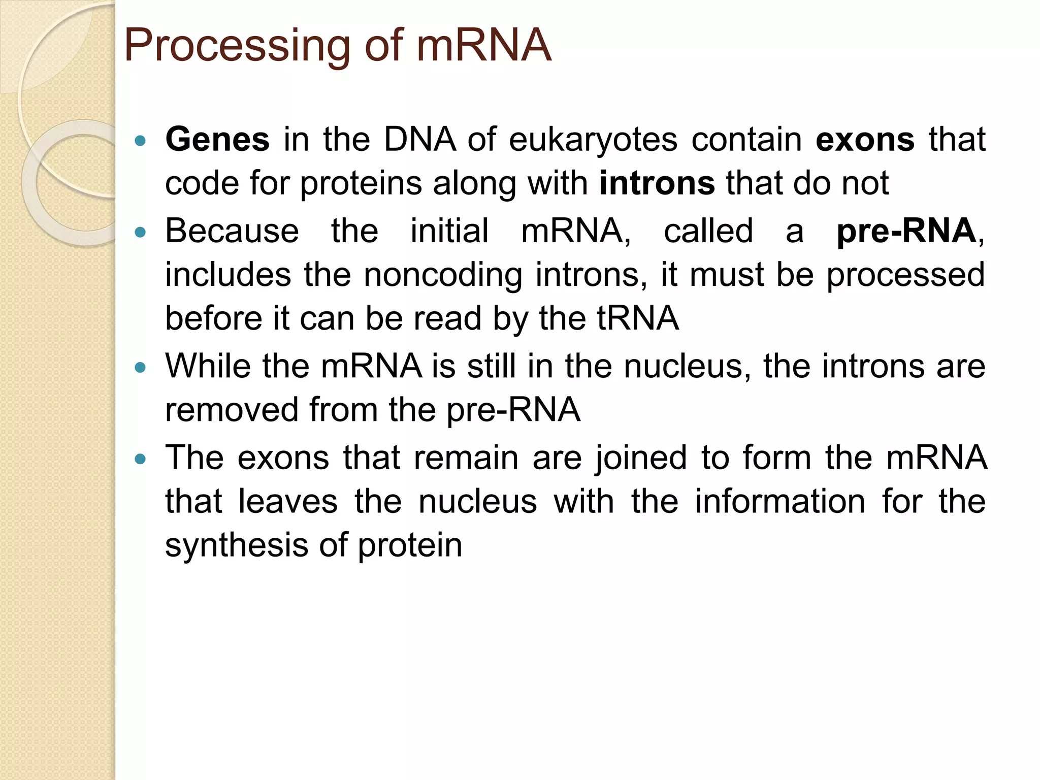 Nucleic acids and protein synthesis | PPTX
