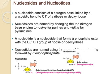 Nucleic acids and protein synthesis | PPTX