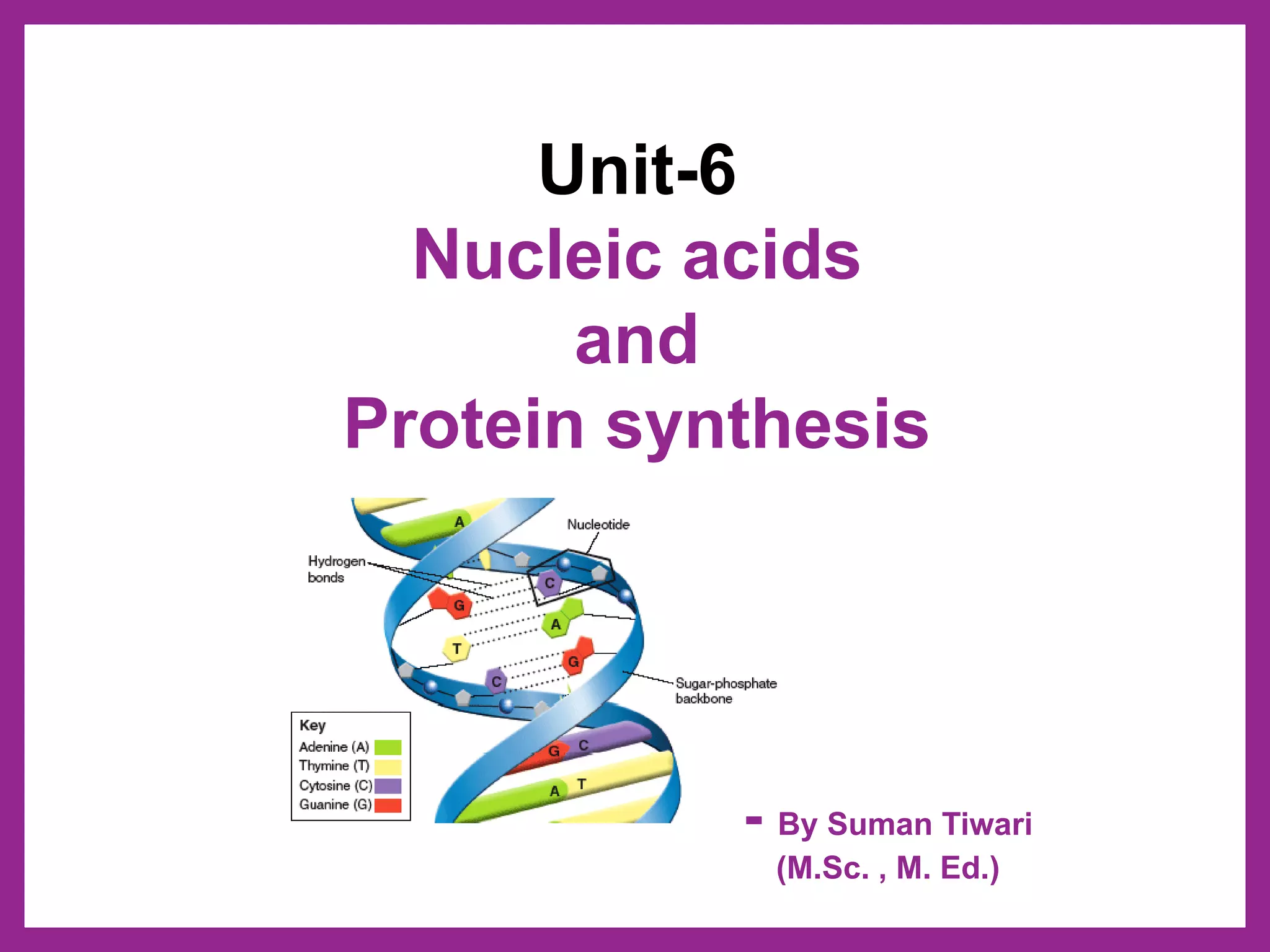 Nucleic acids and protein synthesis | PDF