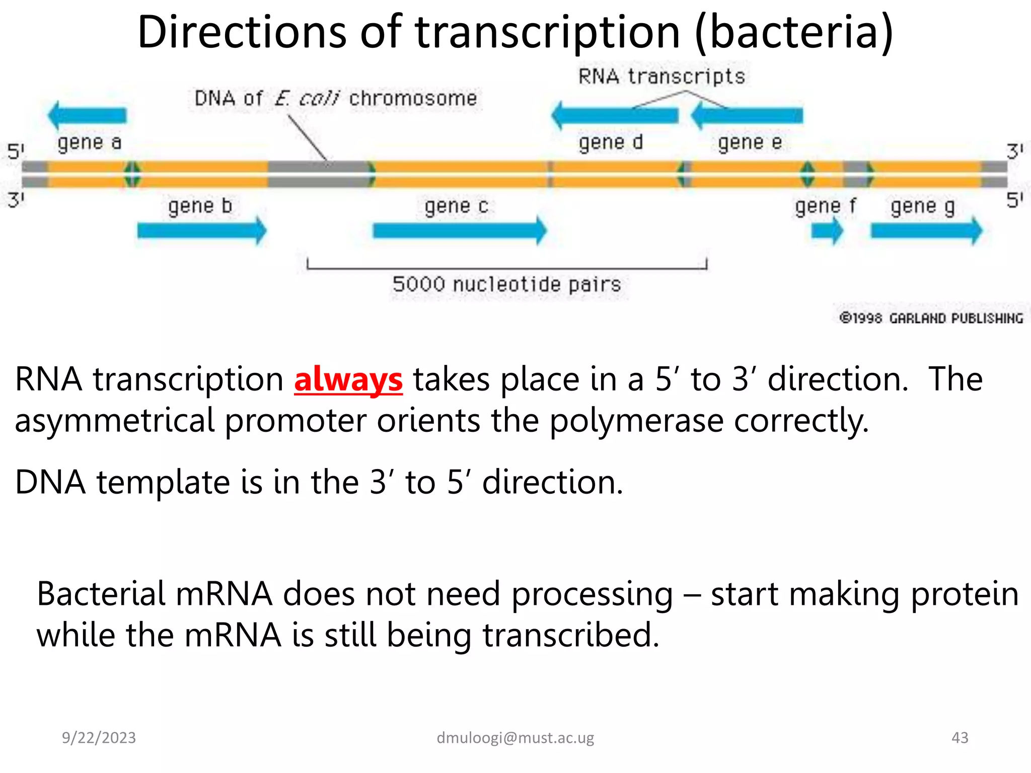 NUCLEIC ACIDS AND PROTEIN SYNTHESIS.pptx