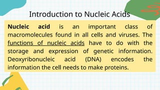 Nucleic Acids and Protein Synthesis.pptx