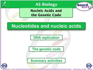 Nucleic Acids and the Genetic Code boardworks AS Level Biology | PPT