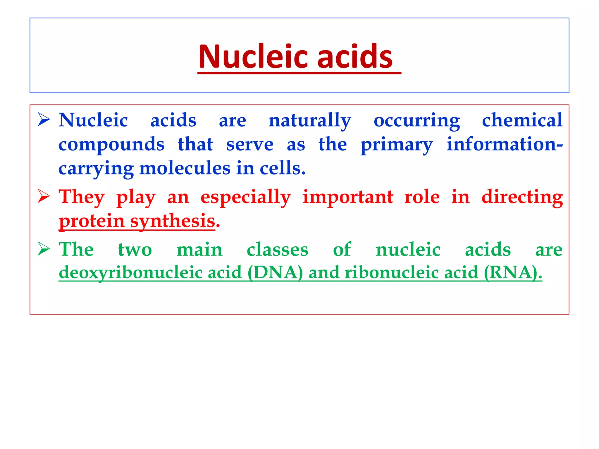 Nucleic acids | PPT