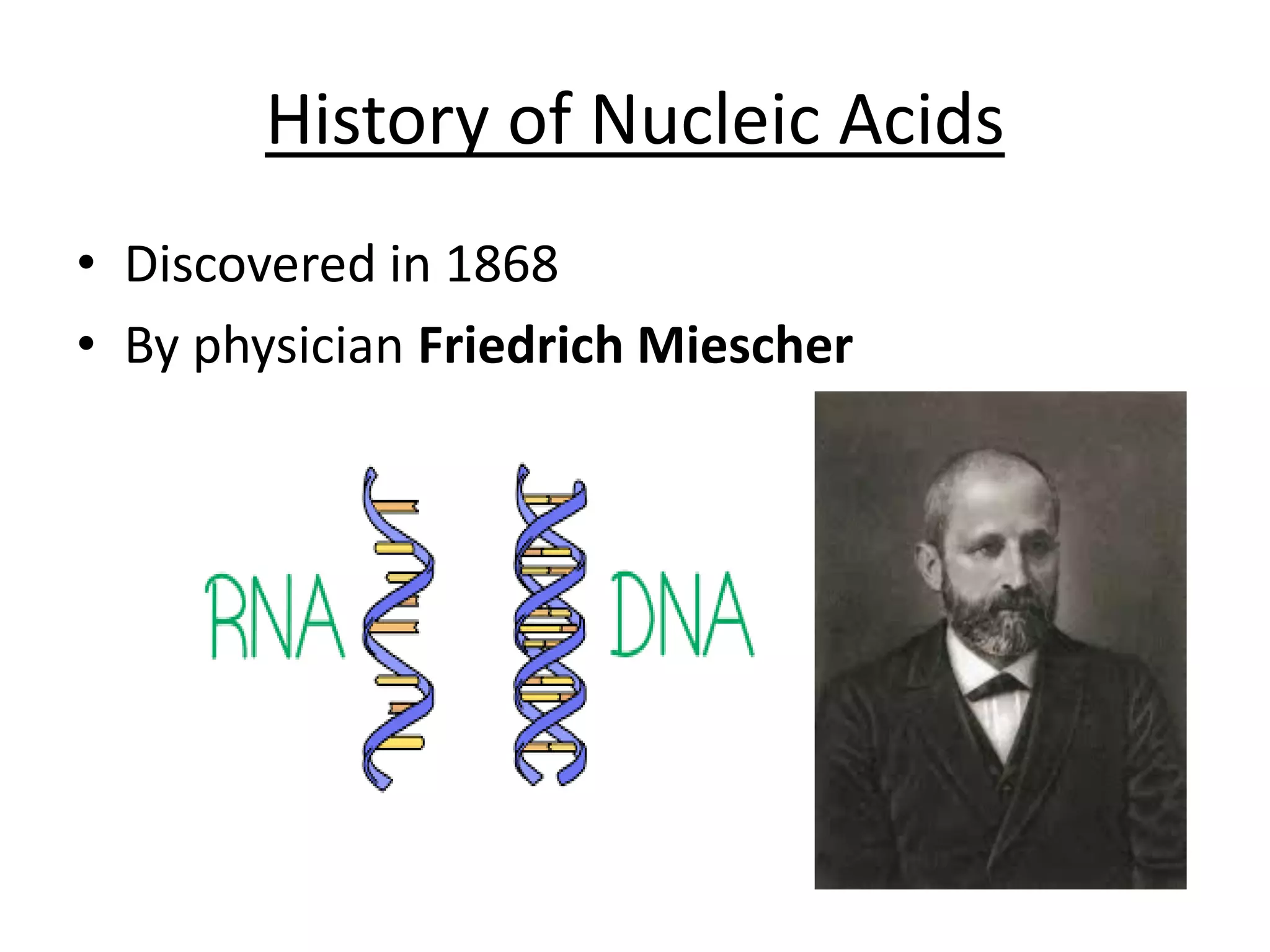 Nucleic_Acids-_-An introduction | PDF