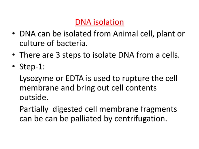 Nucleic_Acids-_-An introduction | PPT