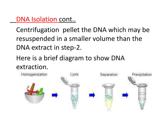Nucleic_Acids-_-An introduction | PPT