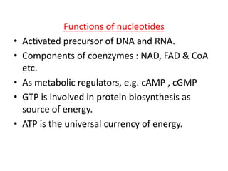 Nucleic_Acids-_-An introduction | PPT